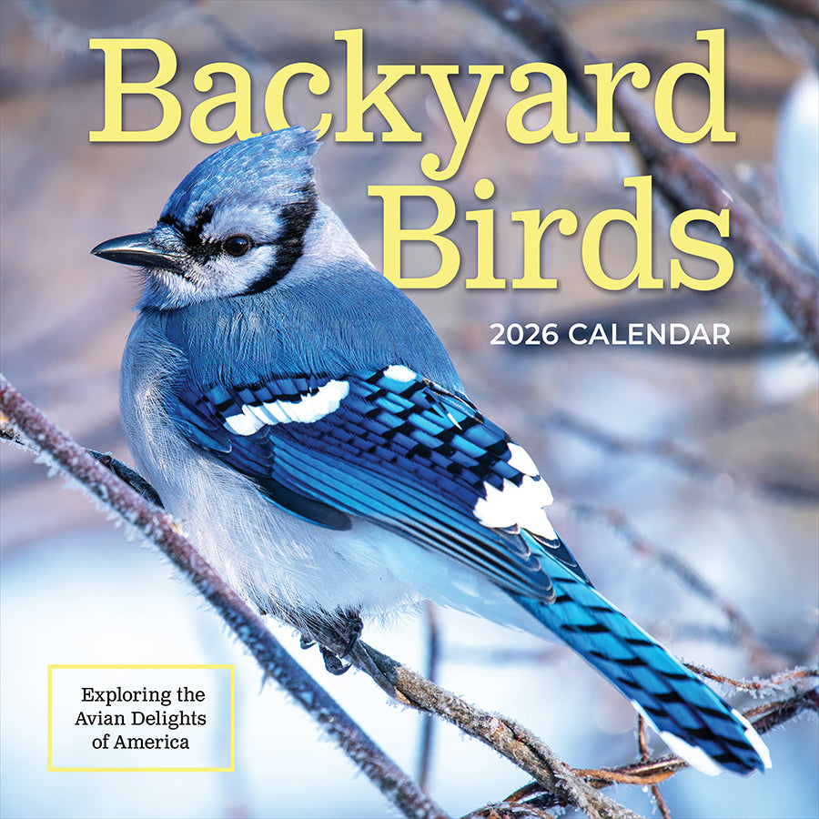 2026 Backyard Birds Wall Calendar | TF Publishing | Calendars + Planners - Journals + Stationery