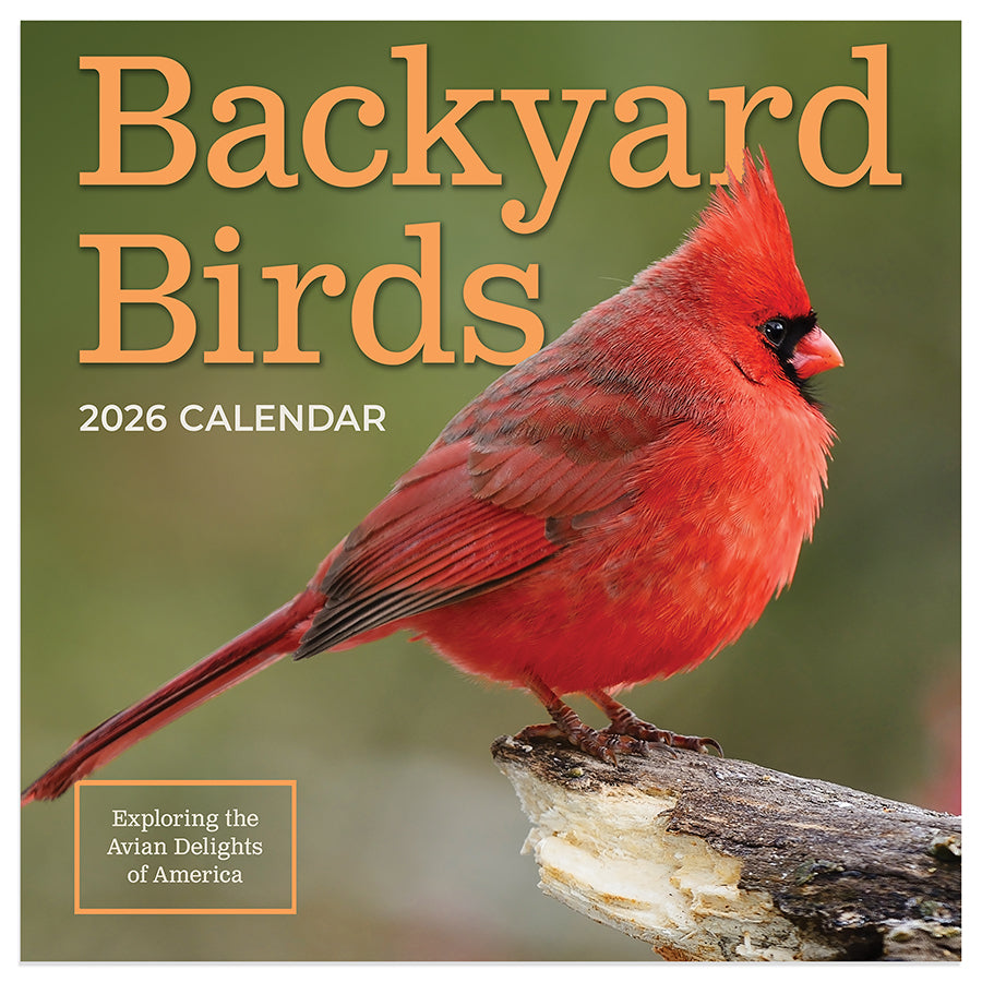 2026 Backyard Birds Mini Calendar | TF Publishing | Calendars ...