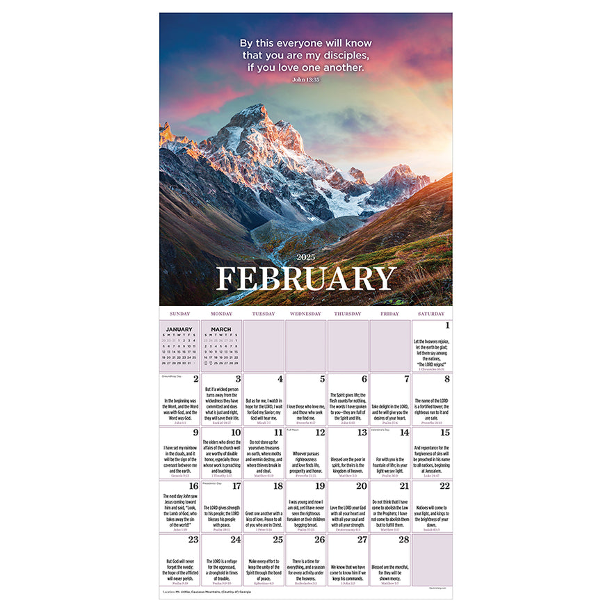 Standard Wall - 12x24 | TF Publishing | Calendars + Planners - Journals ...