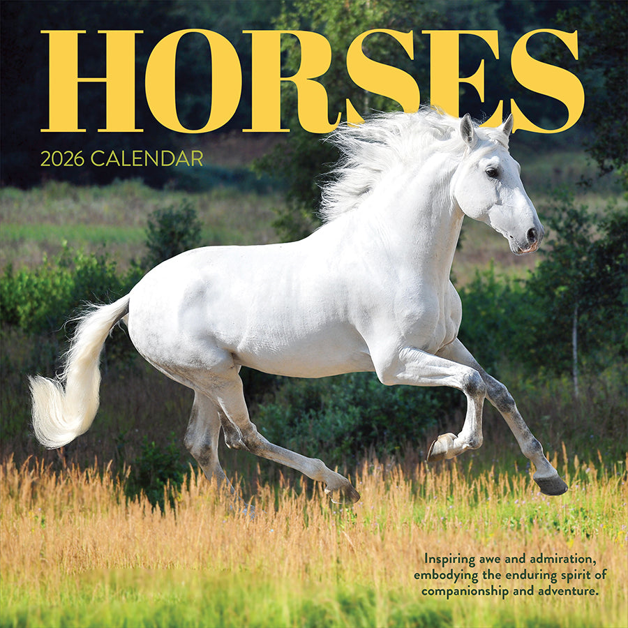 2026 Horses Wall Calendar | TF Publishing | Calendars + Planners ...