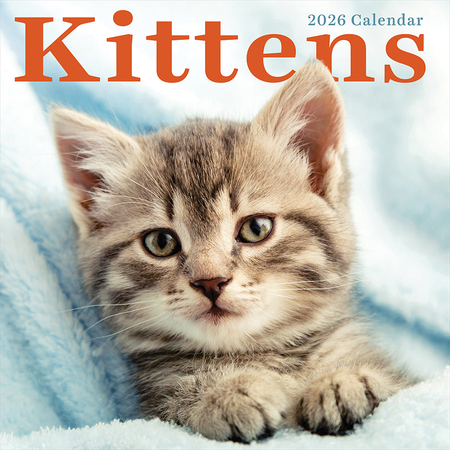 2026 Kittens Wall Calendar | TF Publishing | Calendars + Planners ...