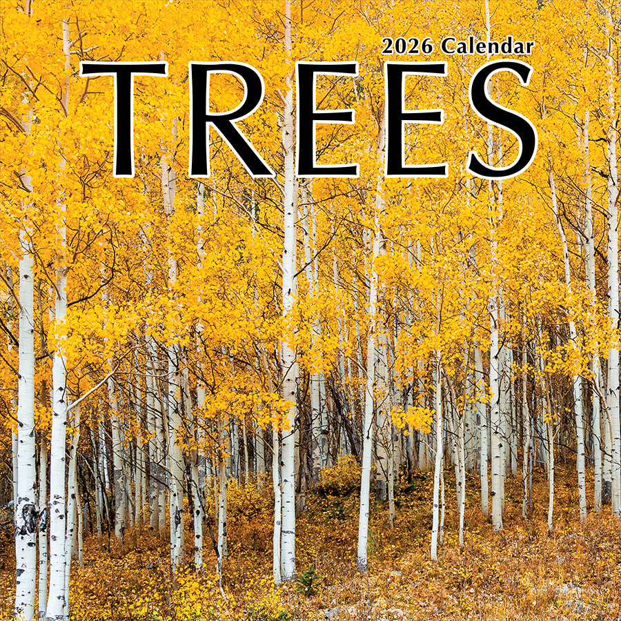 2026 Trees Wall Calendar | TF Publishing | Calendars + Planners ...
