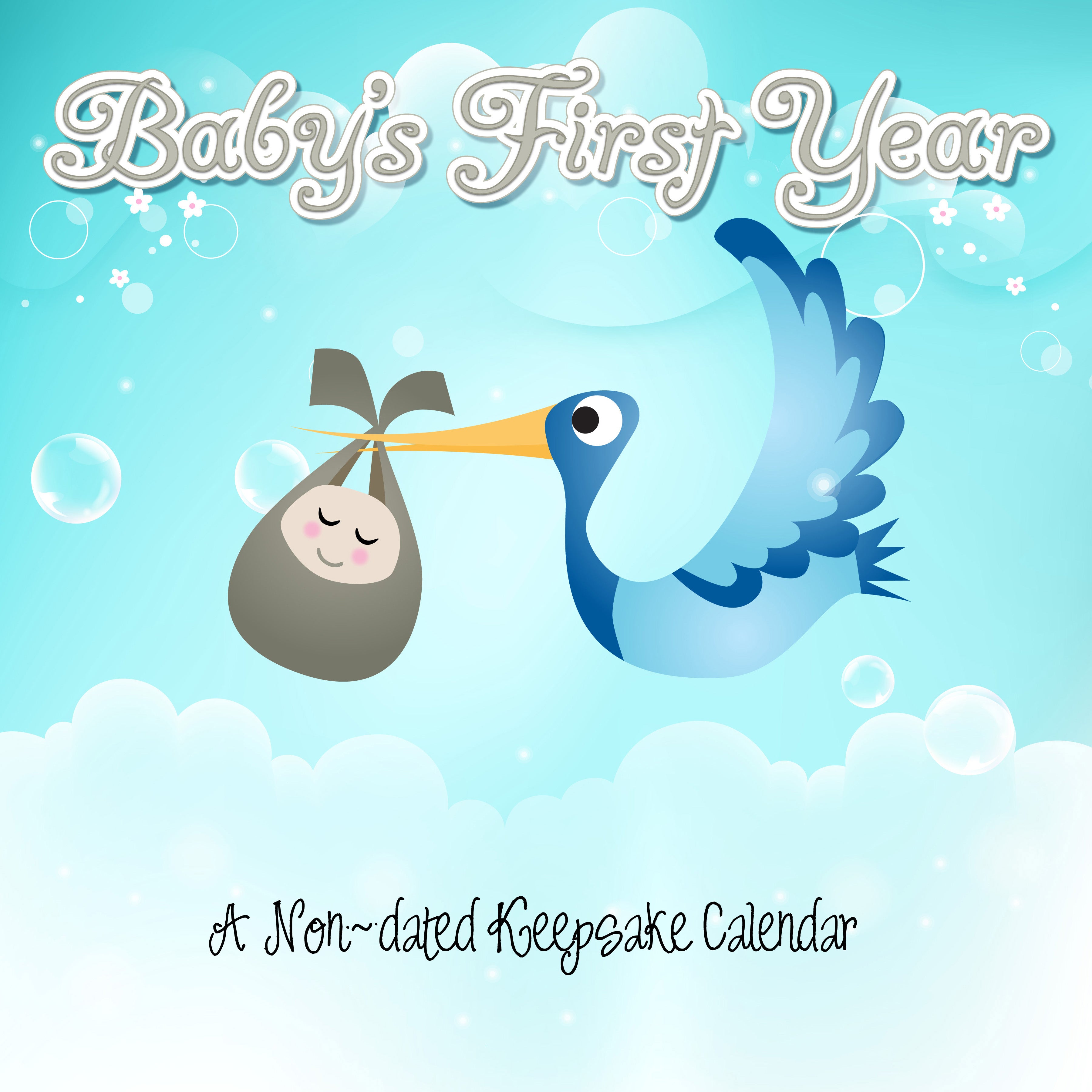 Baby's First Year Wall | TF Publishing | Calendars + Planners ...